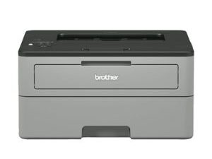 Brother HL-L2350 DW - KISS Professional Solutions